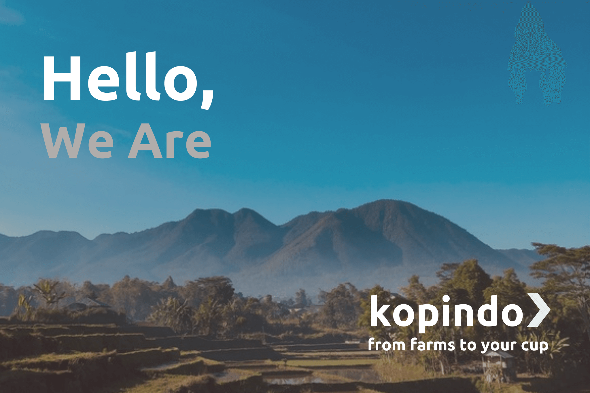 Kopindo Specialty Beans